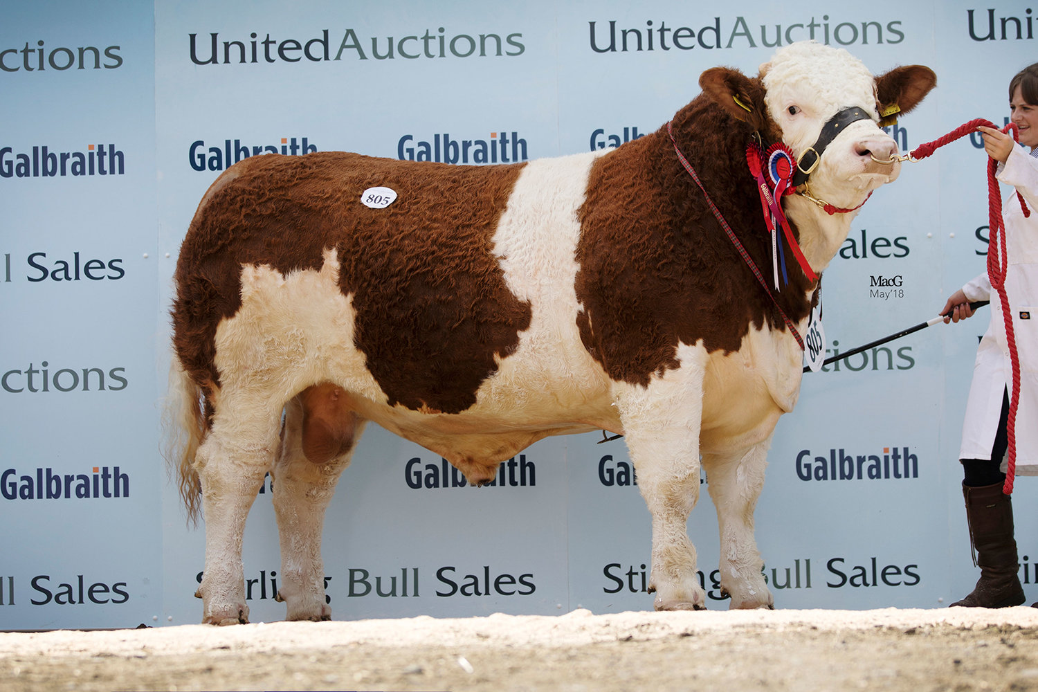 Stirling May Sale report - British Simmental Cattle Society