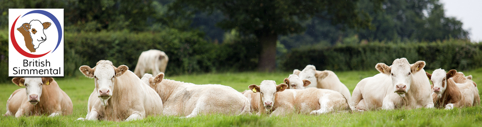 Neogen acquires Igenity from Merial - British Simmental Cattle Society