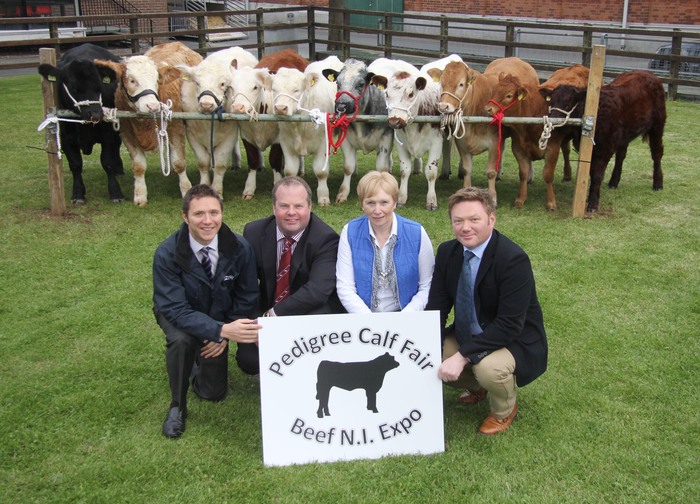 Balmoral venue for inaugural calf fair and beef expo on November 14 ...