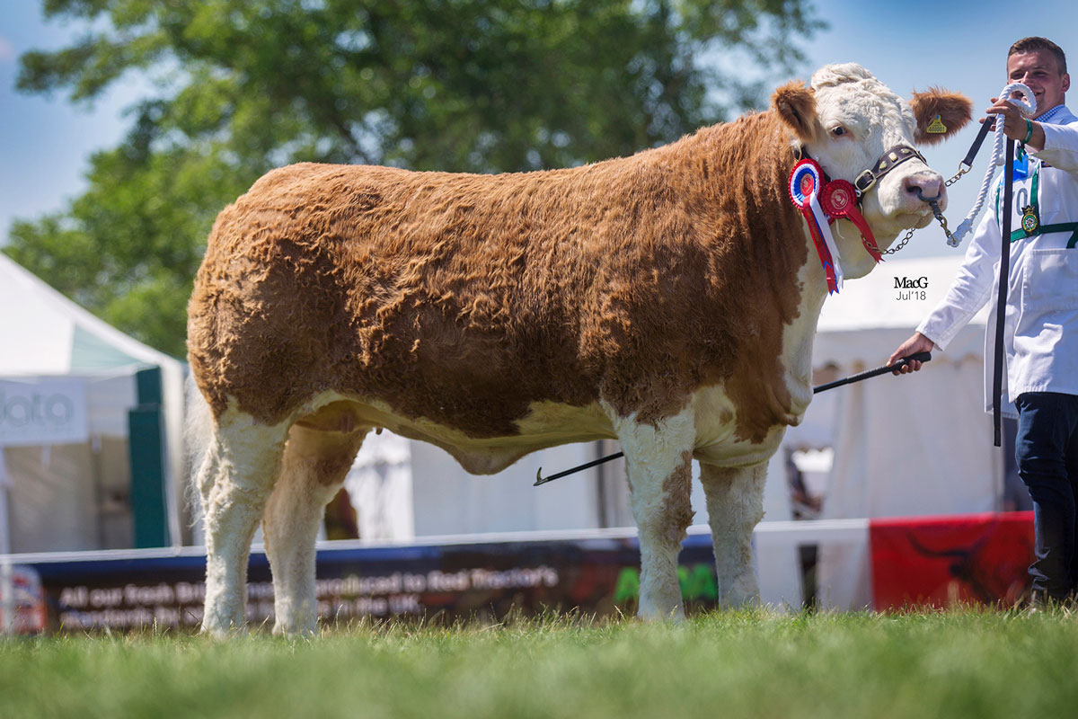 Great Yorkshire - English National Show 10th July to 12th July 2018 ...
