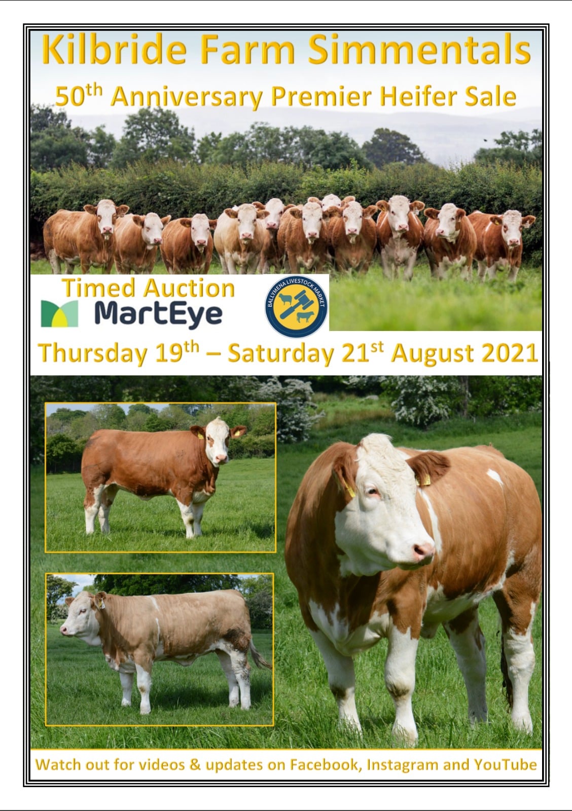 KILBRIDE FARM 50TH ANNIVERSARY PREMIER HEIFER SALE - British Simmental ...