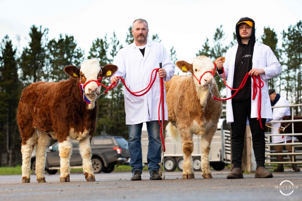 ‘IMPRESSIVE’ CHAMPIONS AT SIMMENTAL CALF SHOW - British Simmental ...