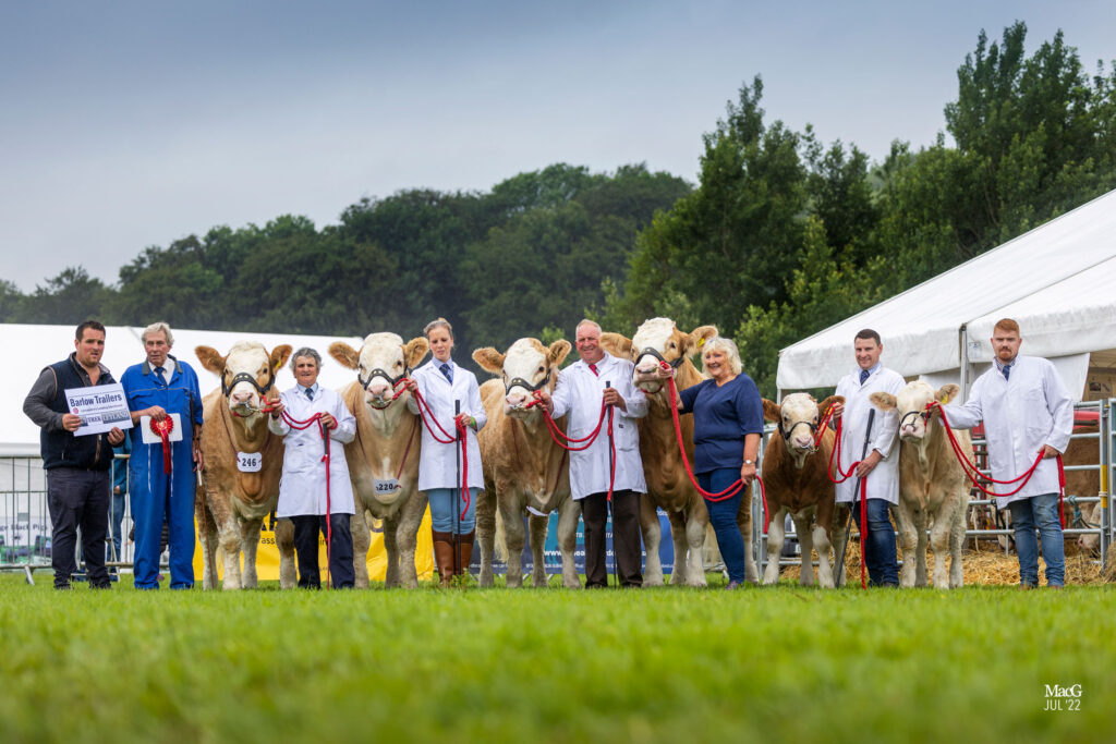 POPES PRINCESS LUMI WINS THE 2022 ENGLISH NATIONAL AS SIMMENTALS ‘LIGHT ...