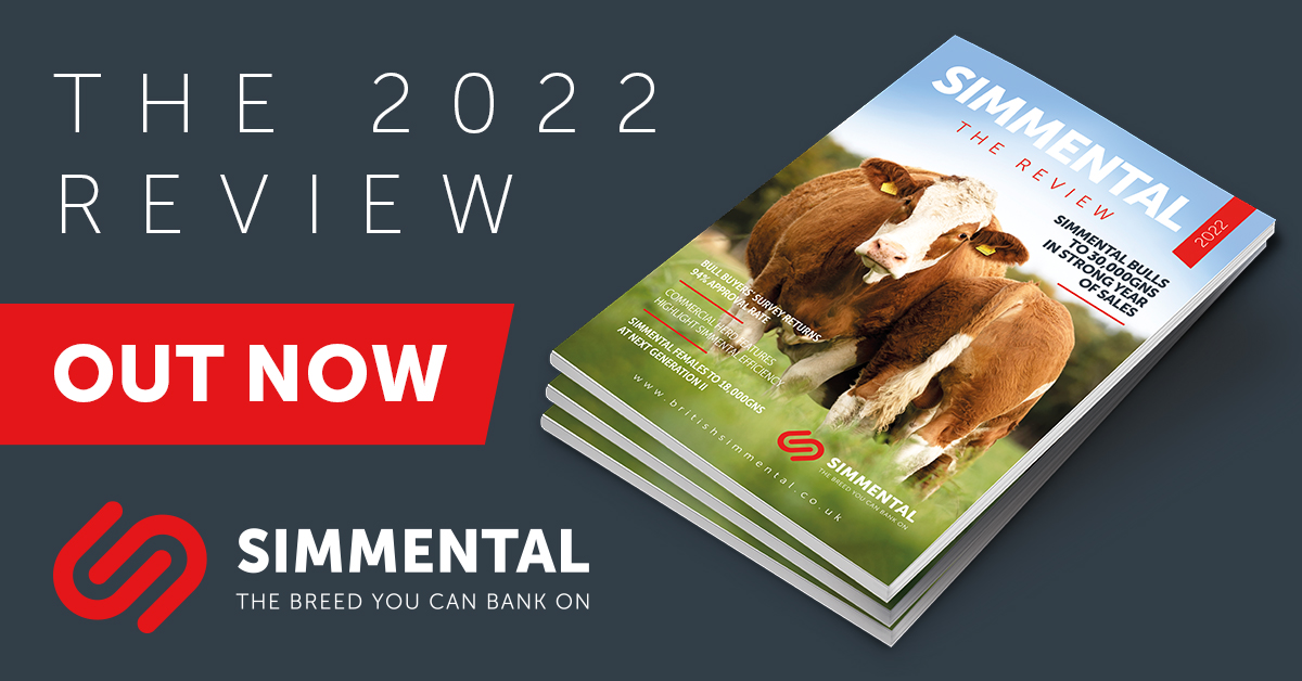 BRITISH SIMMENTAL ANNUAL REVIEW NOW OUT! - British Simmental Cattle Society