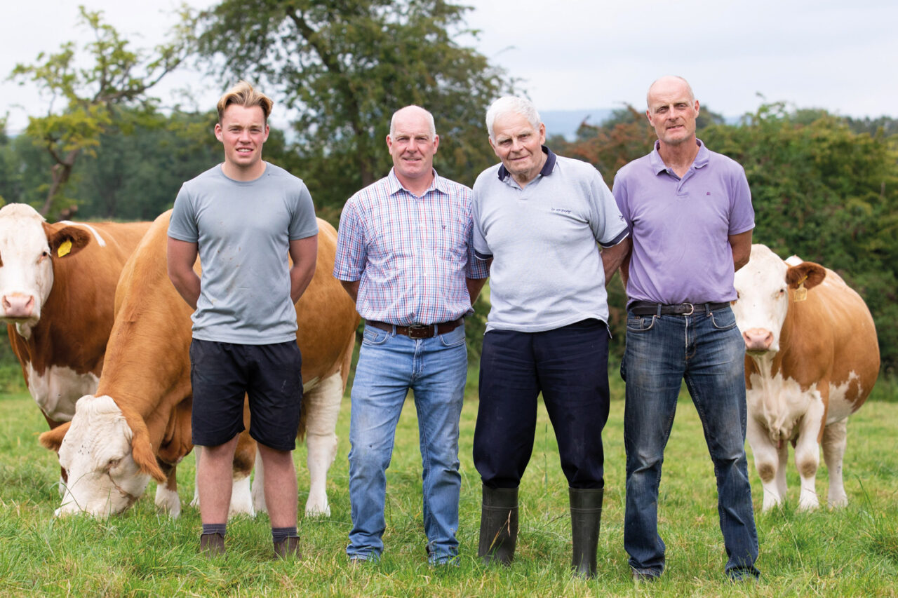 Kilbride Farm - British Simmental Cattle Society