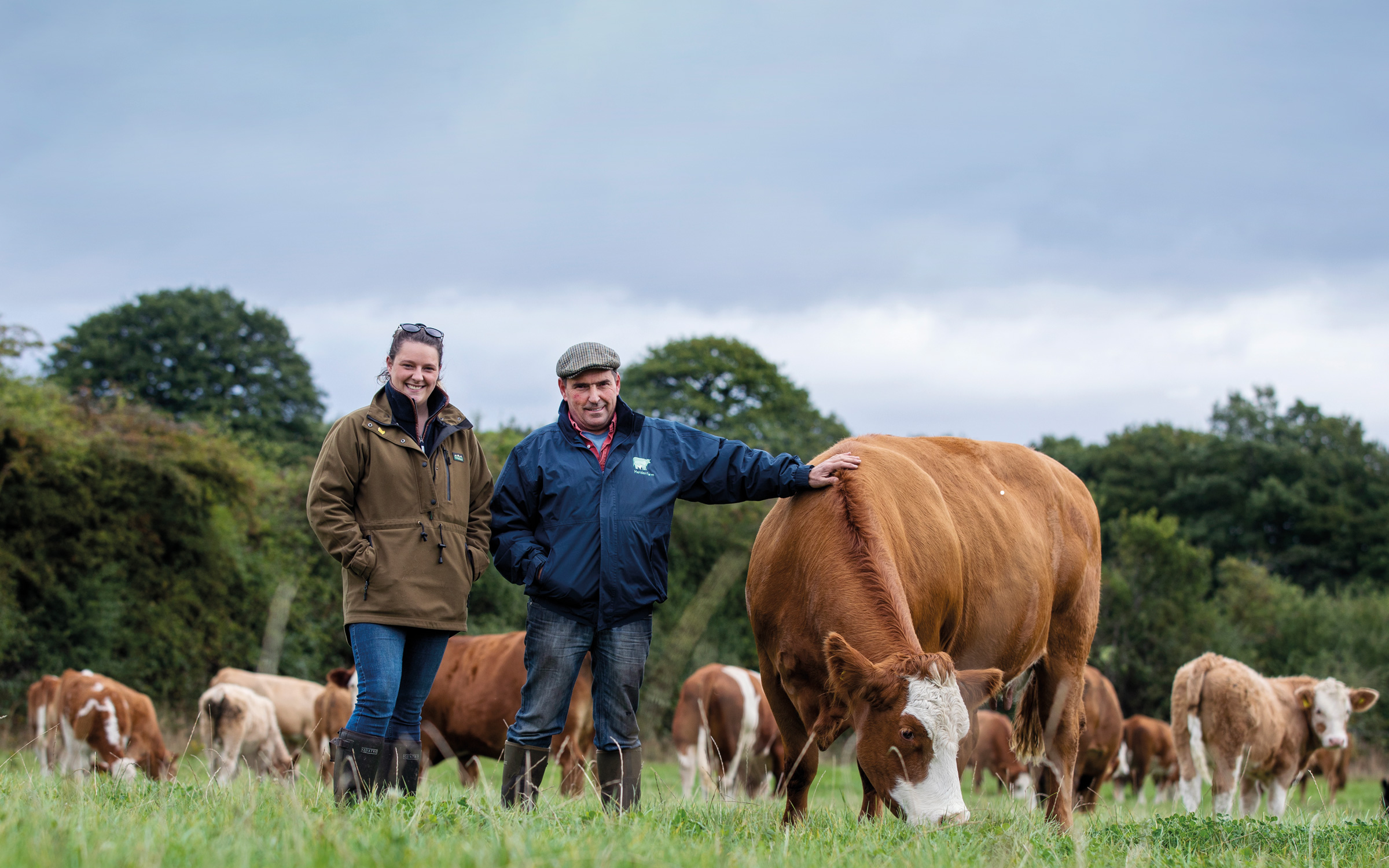The Dairy Farm Meriden - British Simmental Cattle Society