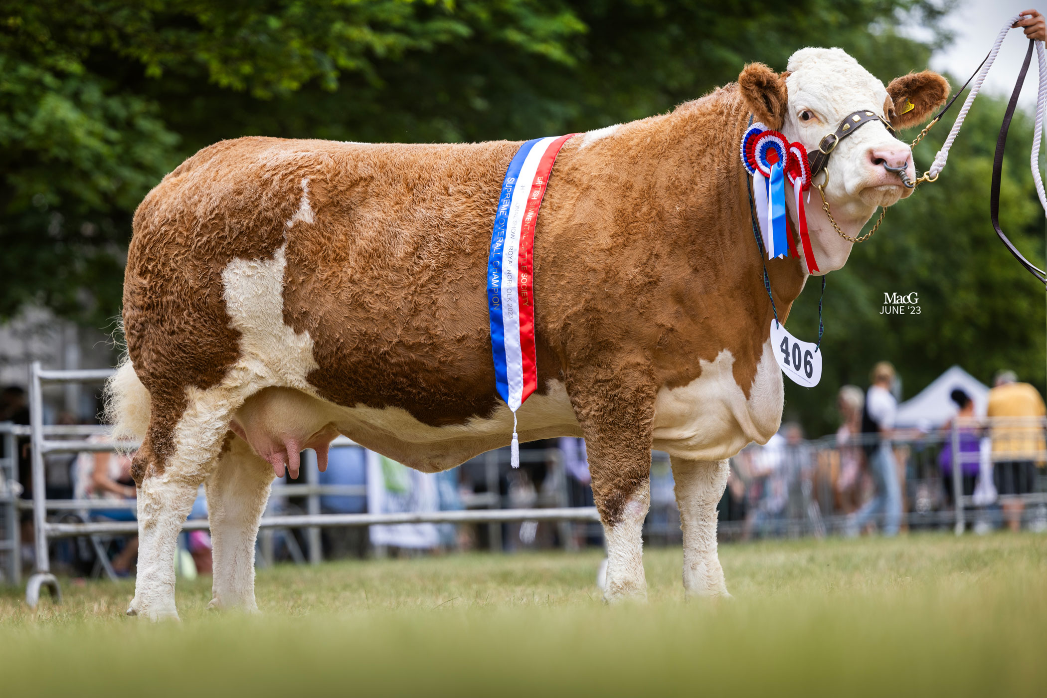 ROYAL NORFOLK SEES POPES PRINCESS IMMIE ‘CROWNED’ CHAMPION AT 2023 ...