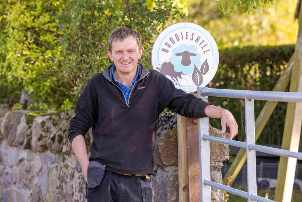 SIMMENTALS BREEDING QUALITY FEMALE REPLACEMENTS, AND TOP QUALITY STORE ...