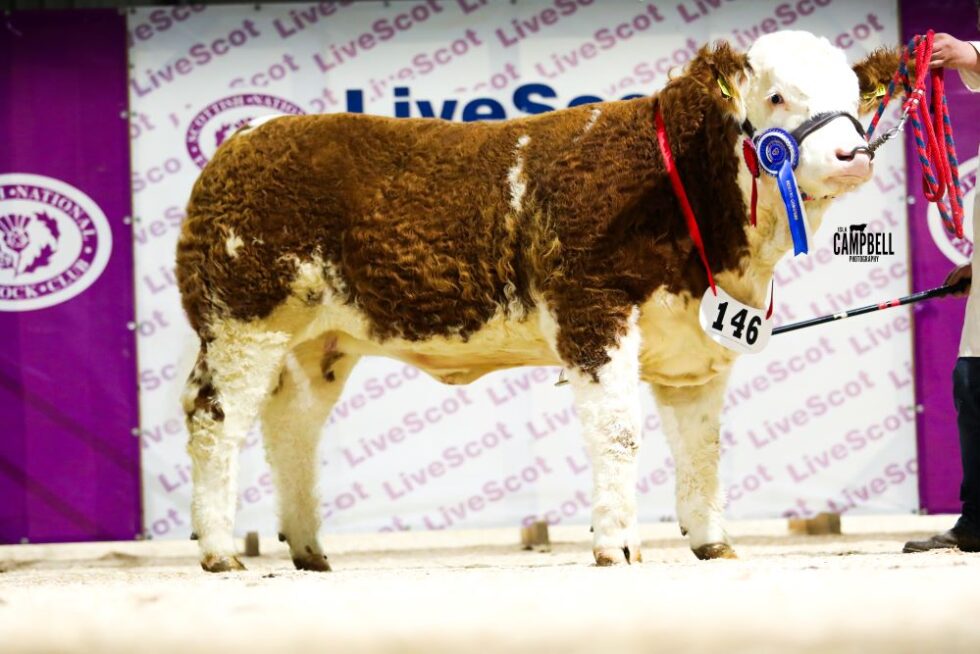SIXTH AND FINAL PART OF THE 2023 SIMMENTAL YEAR REVIEW! - British ...