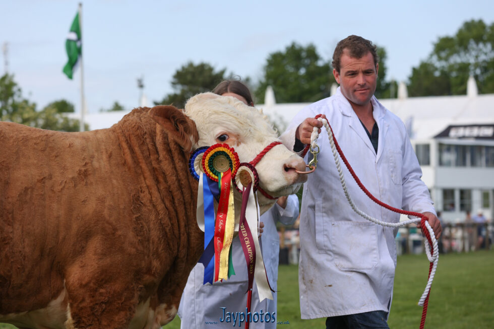 CORNWALL CLUB REPORT - British Simmental Cattle Society