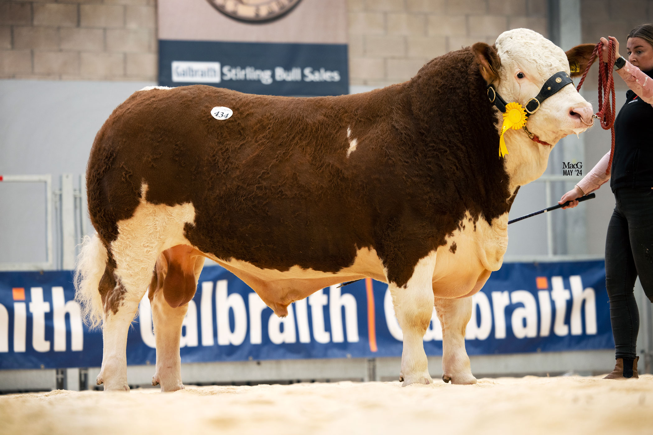 22,000GNS DENIZES NEW ORLEANS LEADS ALL-BREEDS TRADE AT STIRLING AND ...