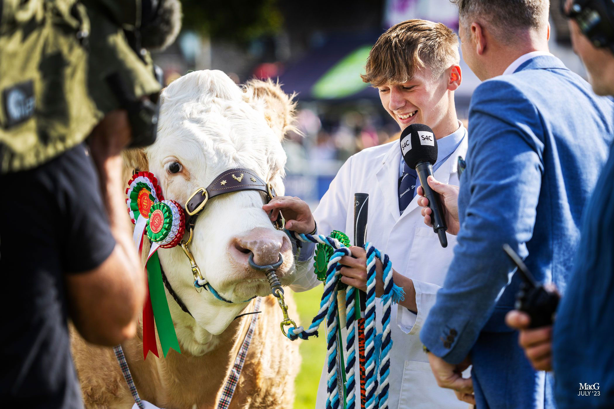 British Simmental Cattle Society