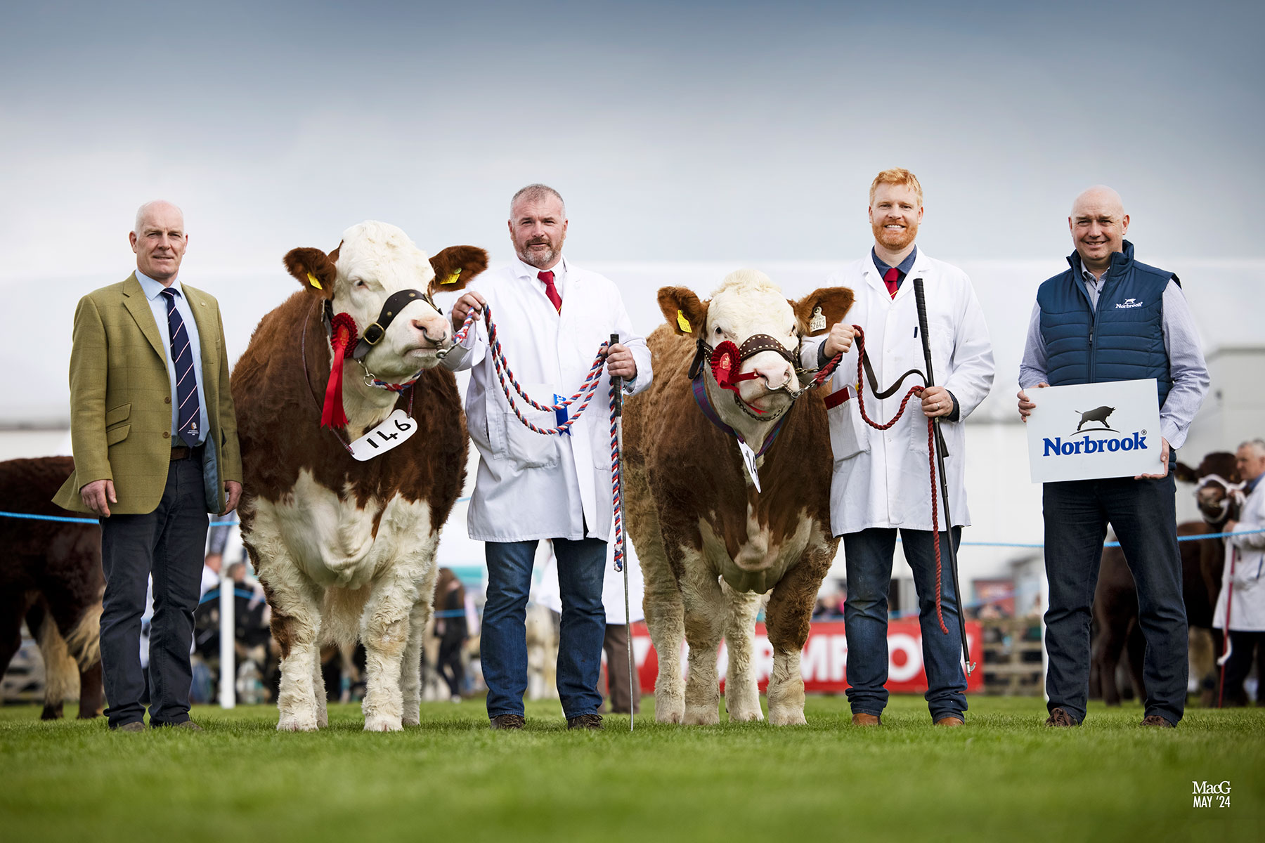 BALLINALARE FARM NIKITA ‘DOUBLES UP’ AND RETAINS HER RUAS BALMORAL SHOW ...