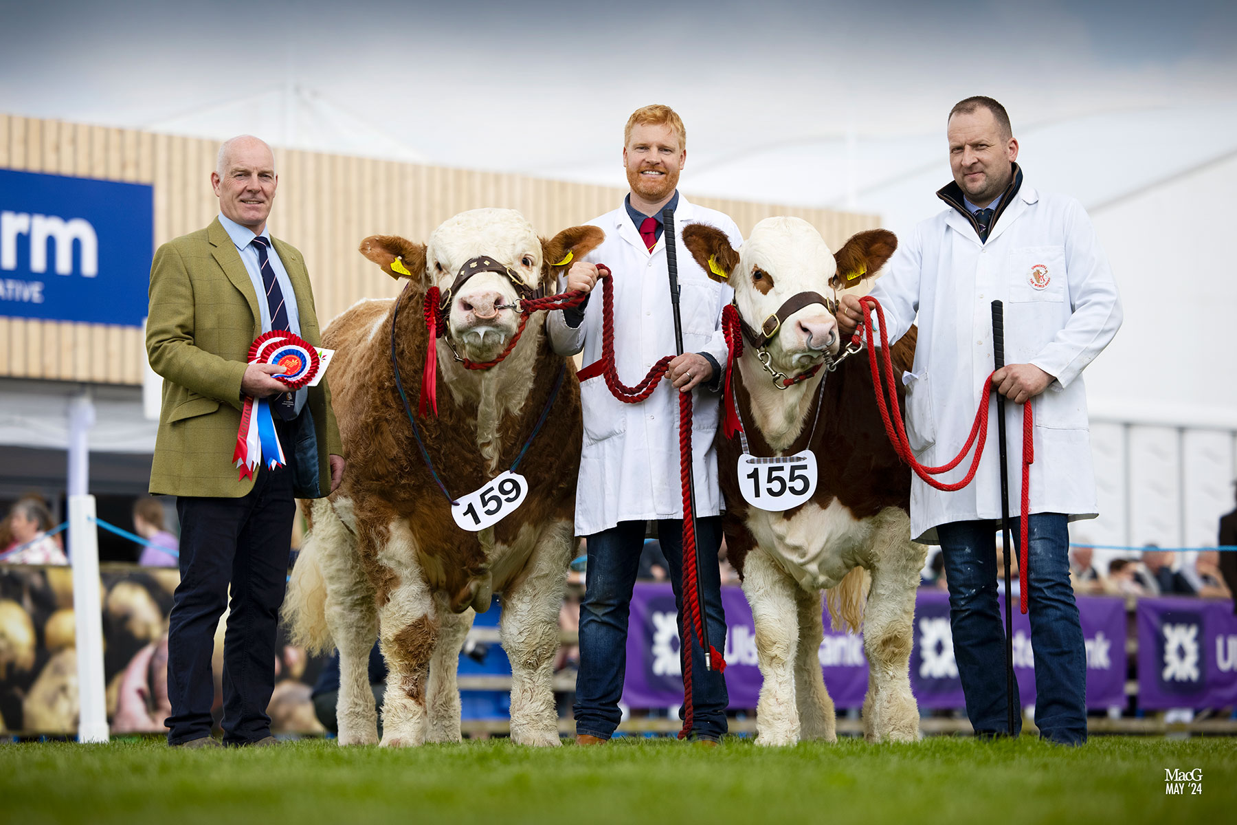BALLINALARE FARM NIKITA ‘DOUBLES UP’ AND RETAINS HER RUAS BALMORAL SHOW ...