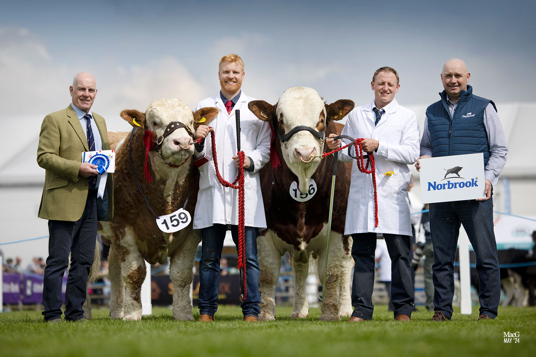 BALLINALARE FARM NIKITA ‘DOUBLES UP’ AND RETAINS HER RUAS BALMORAL SHOW ...