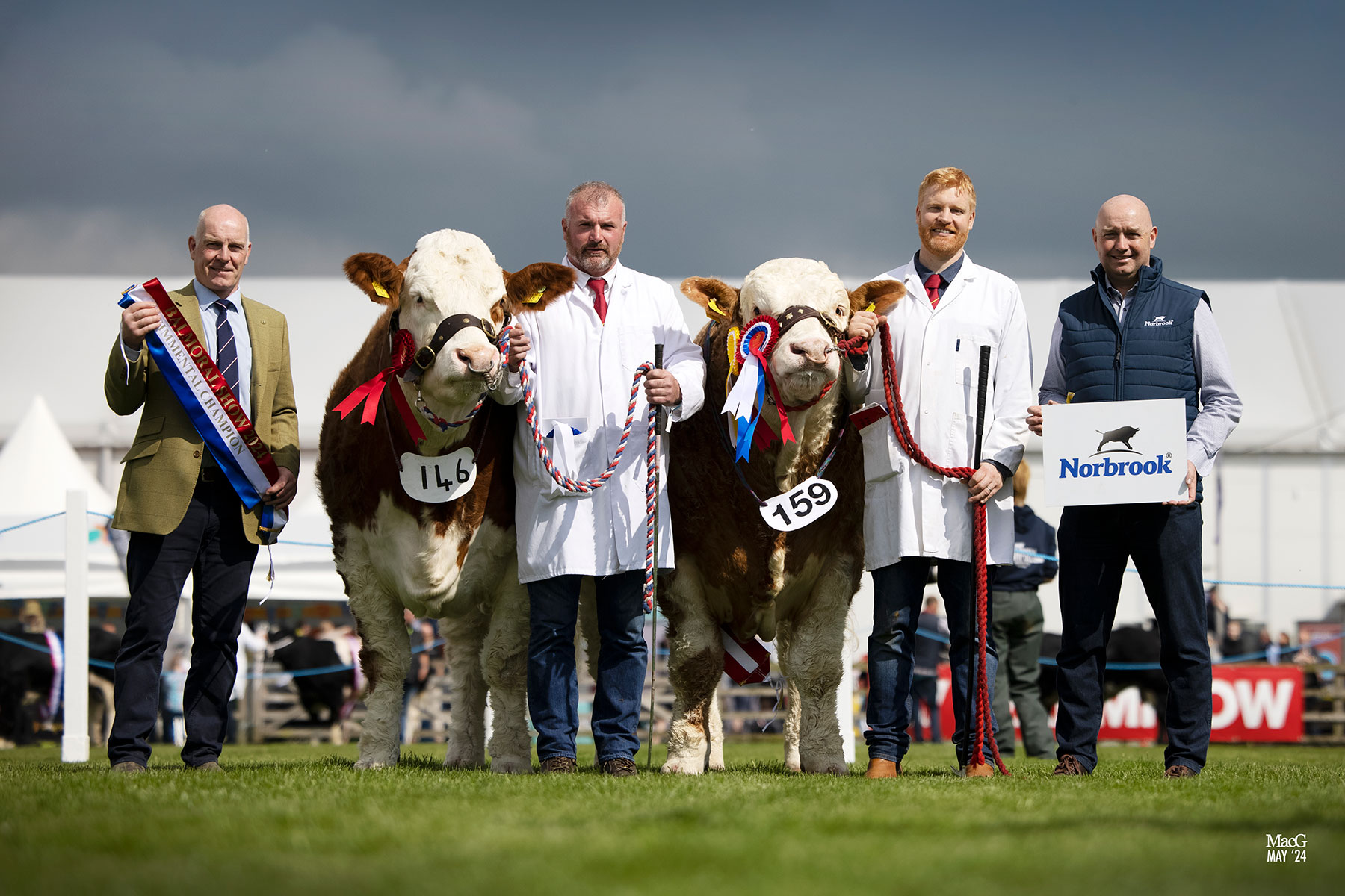 BALLINALARE FARM NIKITA ‘DOUBLES UP’ AND RETAINS HER RUAS BALMORAL SHOW ...