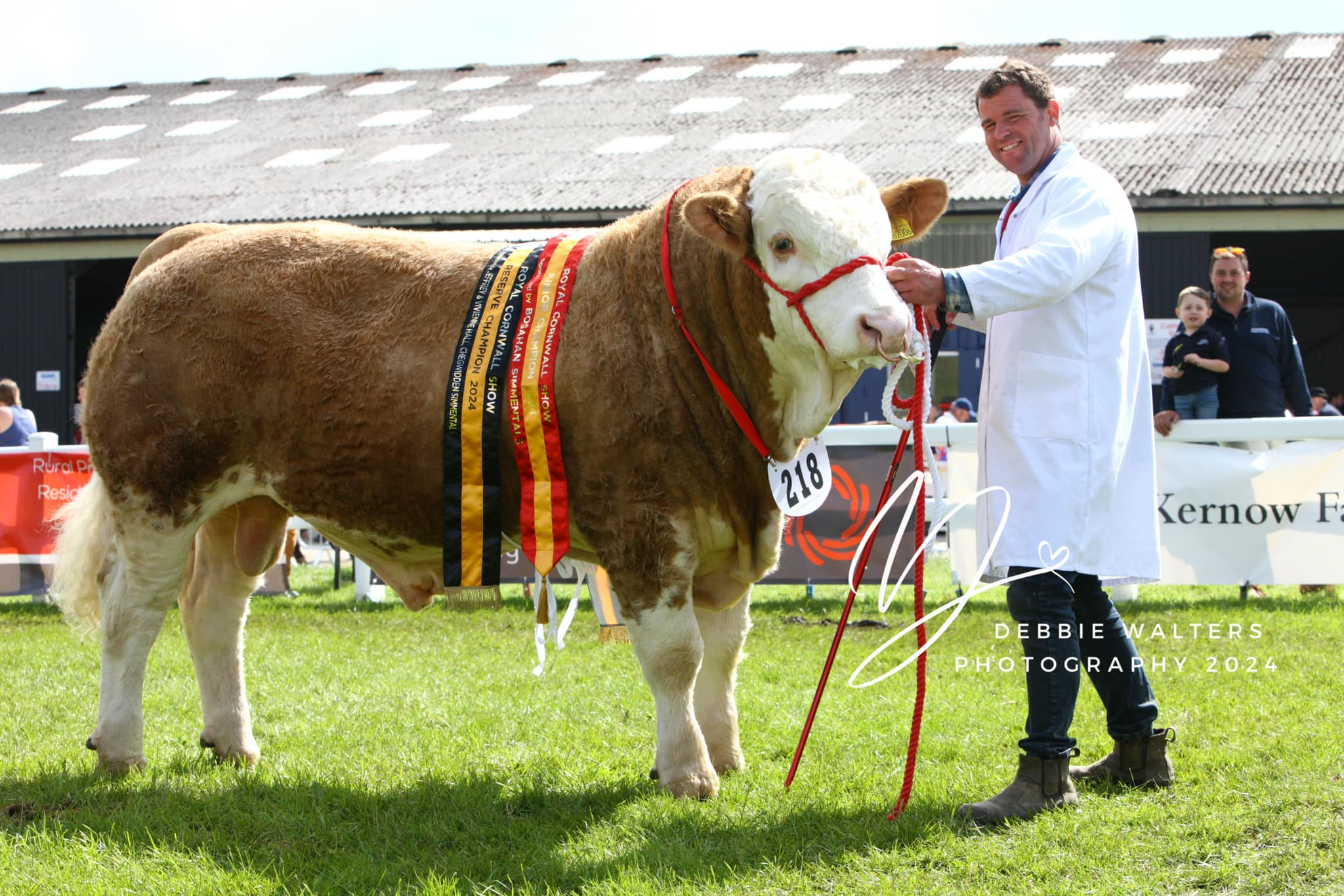 TREGNETHER NELLIE WINS 2024 ROYAL CORNWALL SHOW! - British Simmental ...