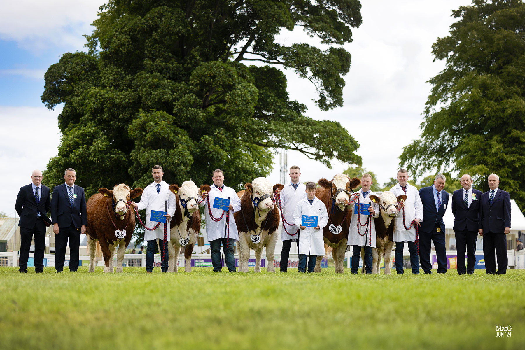 BACKMUIR WIN OVERALL INDIVIDUAL INTERBREED AT 2024 ROYAL HIGHLAND AFTER ...