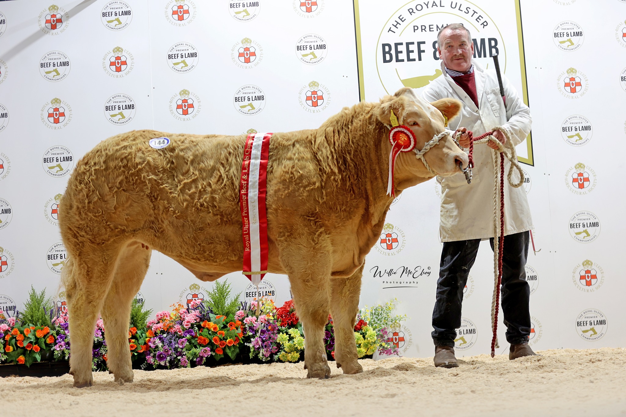 JALEX DOES IT AGAIN WITH SIMMENTAL CHAMPION ‘KATIE’ MAKING £7,800 AT ...