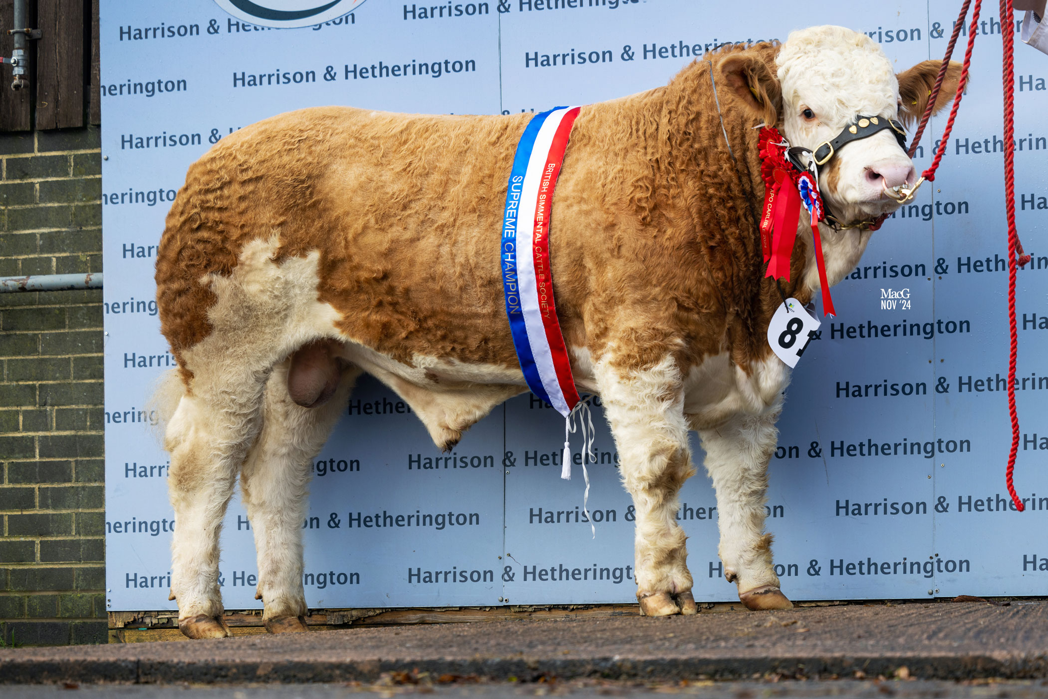 ‘IMPRESSIVE’ DENIZES TEAM TAKE THE TOP HONOURS AT BORDERWAY’S SIMMENTAL ...