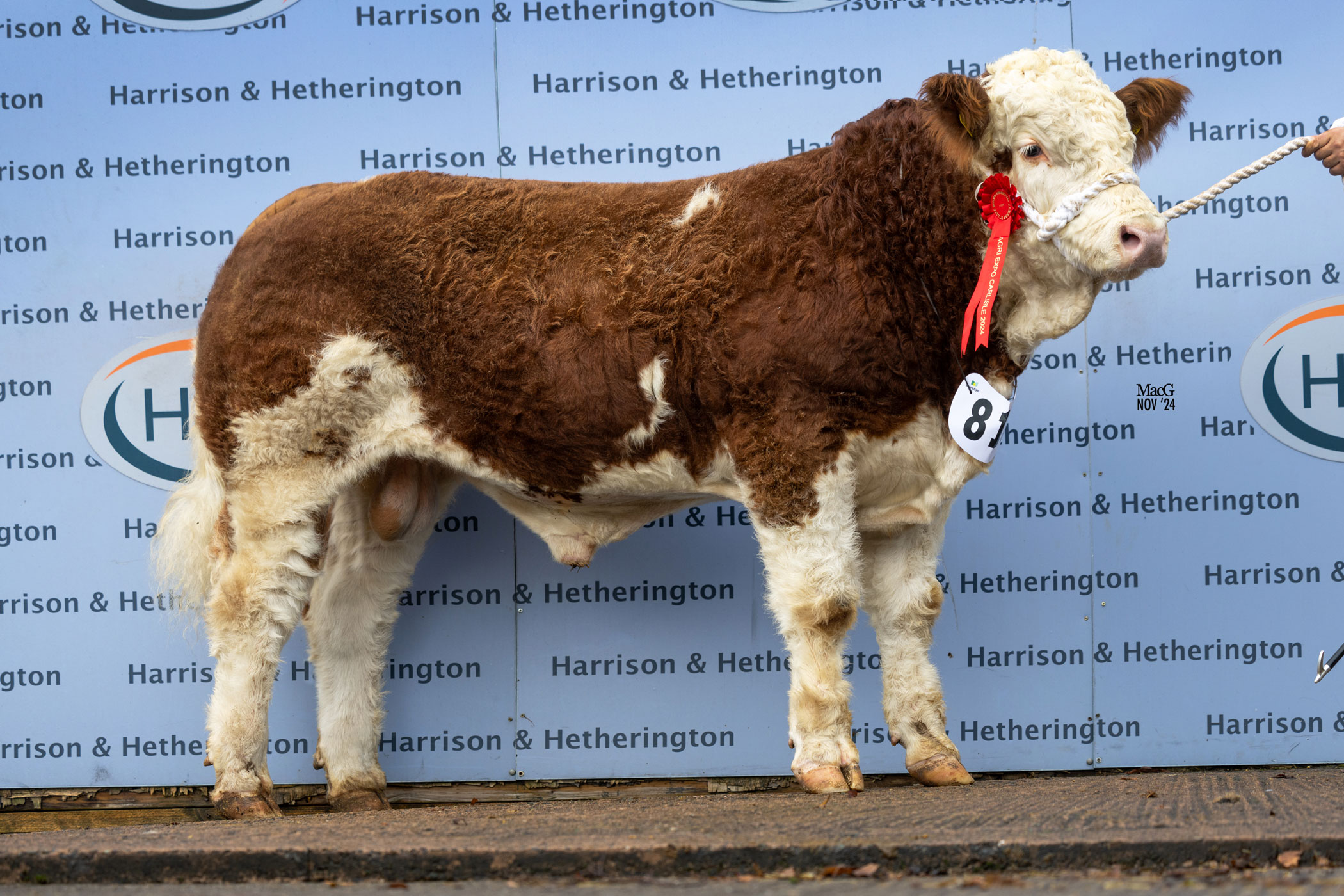 ‘IMPRESSIVE’ DENIZES TEAM TAKE THE TOP HONOURS AT BORDERWAY’S SIMMENTAL ...