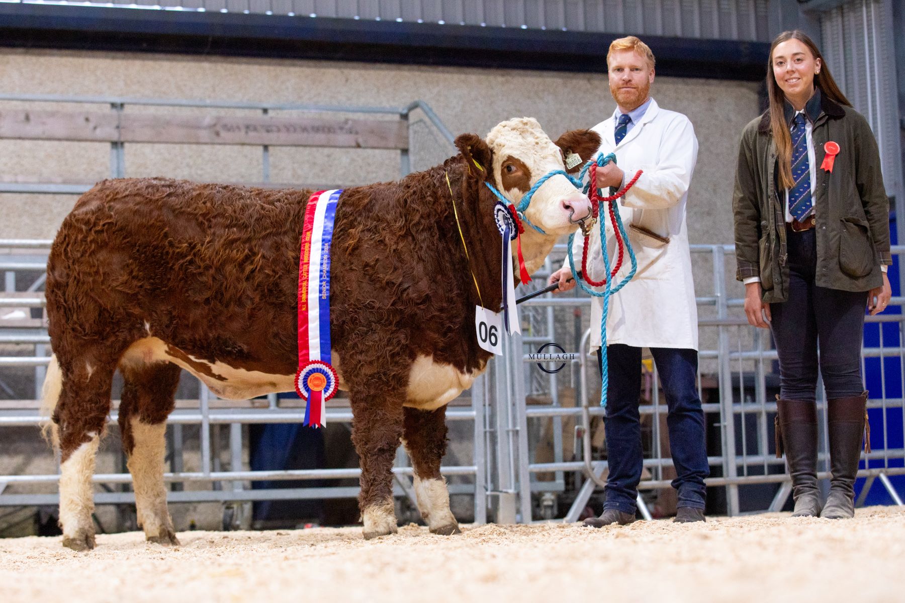 LISGLASS AND HAYSTAR IN CHAMPIONSHIP WINNING FORM AT 2024 NI SIMMENTAL ...