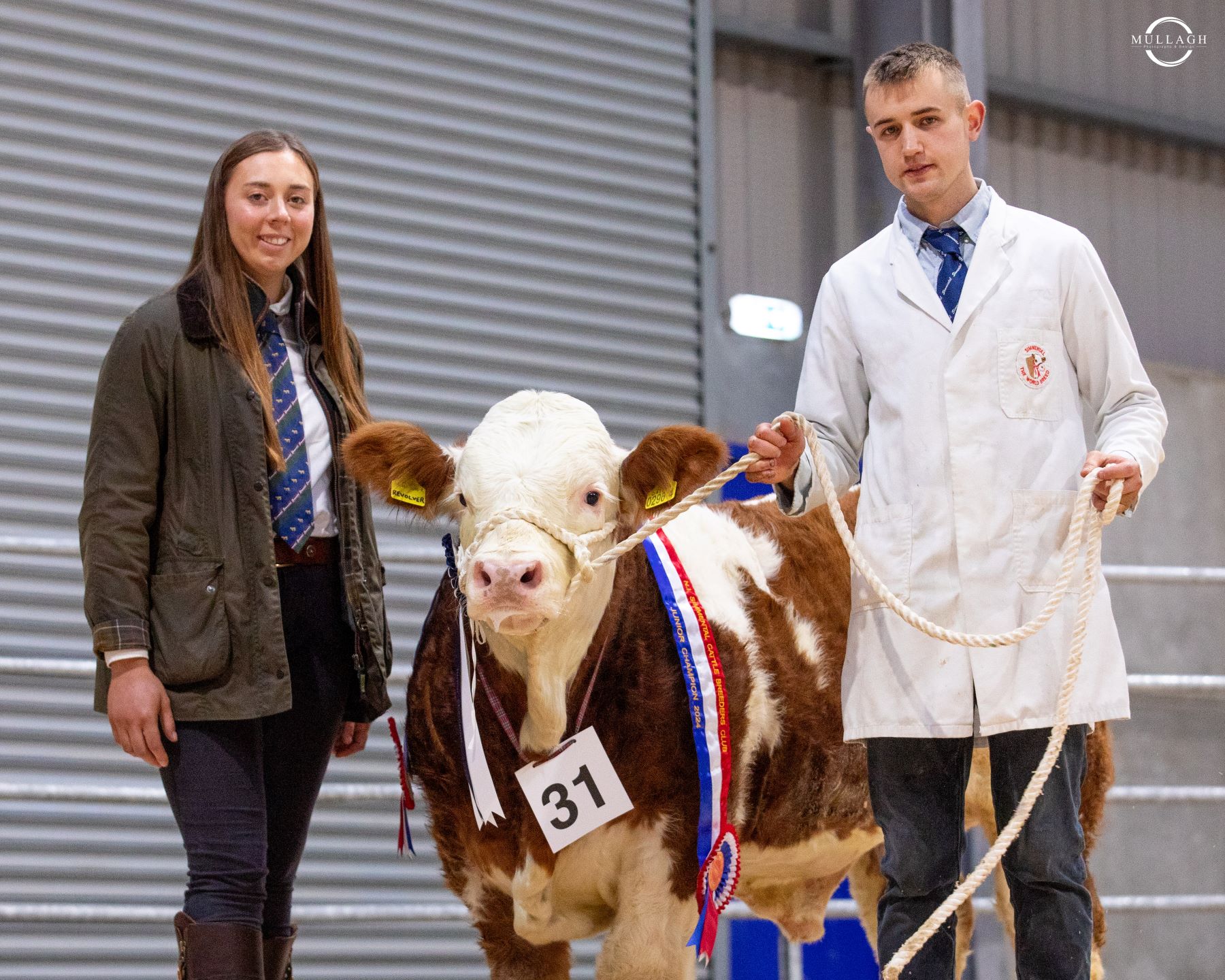 LISGLASS AND HAYSTAR IN CHAMPIONSHIP WINNING FORM AT 2024 NI SIMMENTAL ...