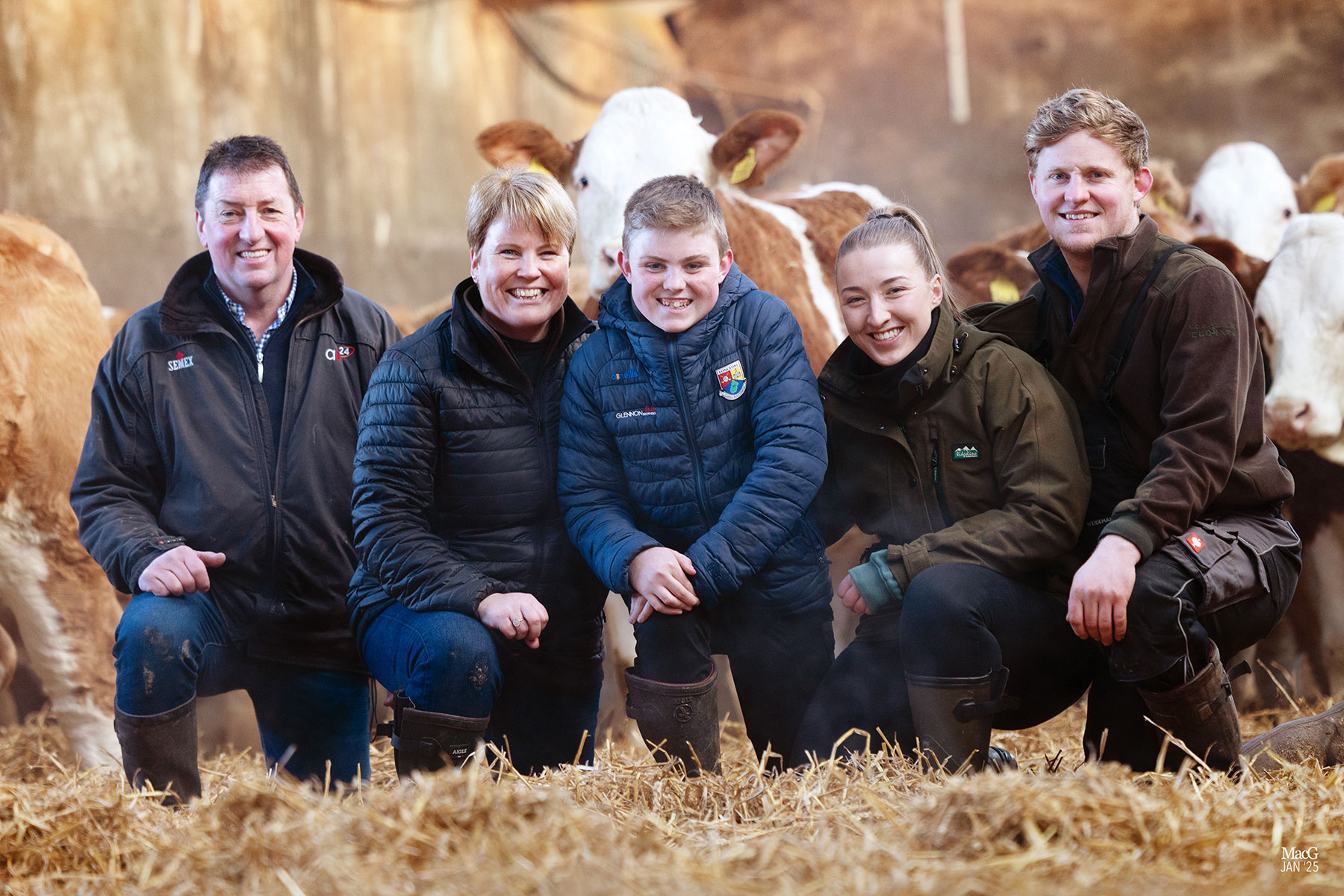 SHAPELY BULLS, AND MILKY FEMALES, THE KEY TO NEWBIEMAINS SIMMENTALS ...