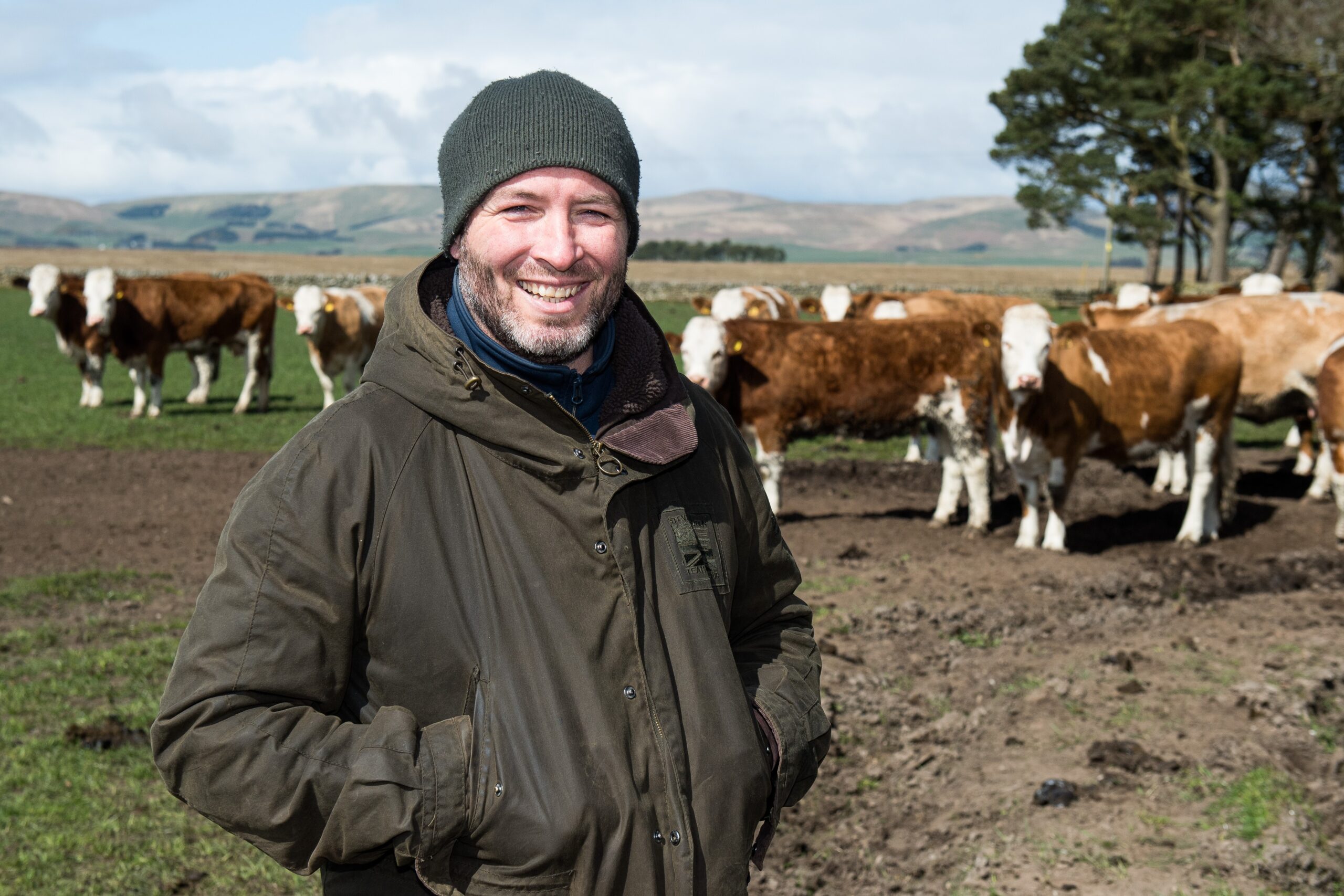2025 Stirling Sales Archives - British Simmental Cattle Society